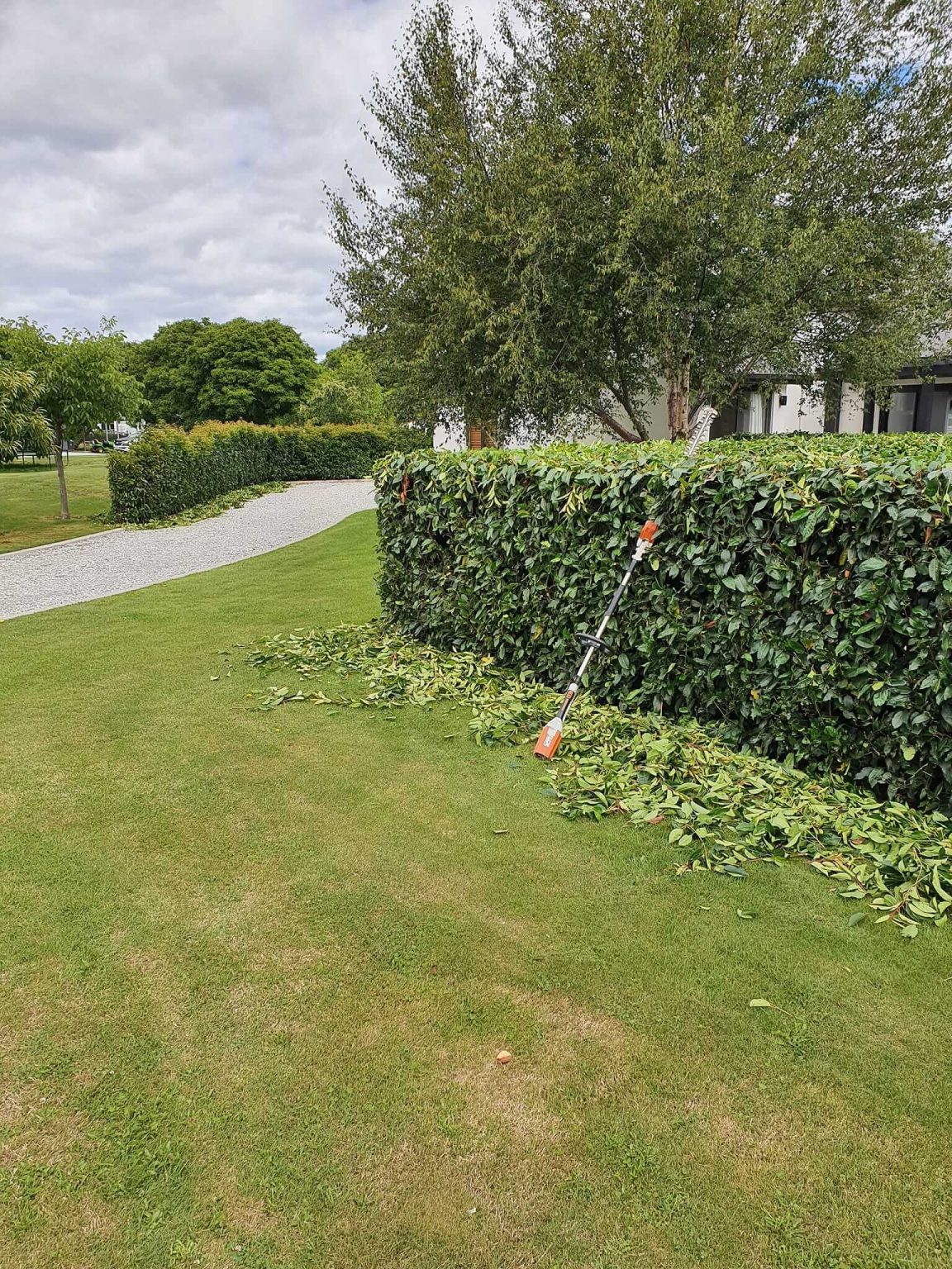Professional Hedge Trimming, Cutting & Pruning Queenstown